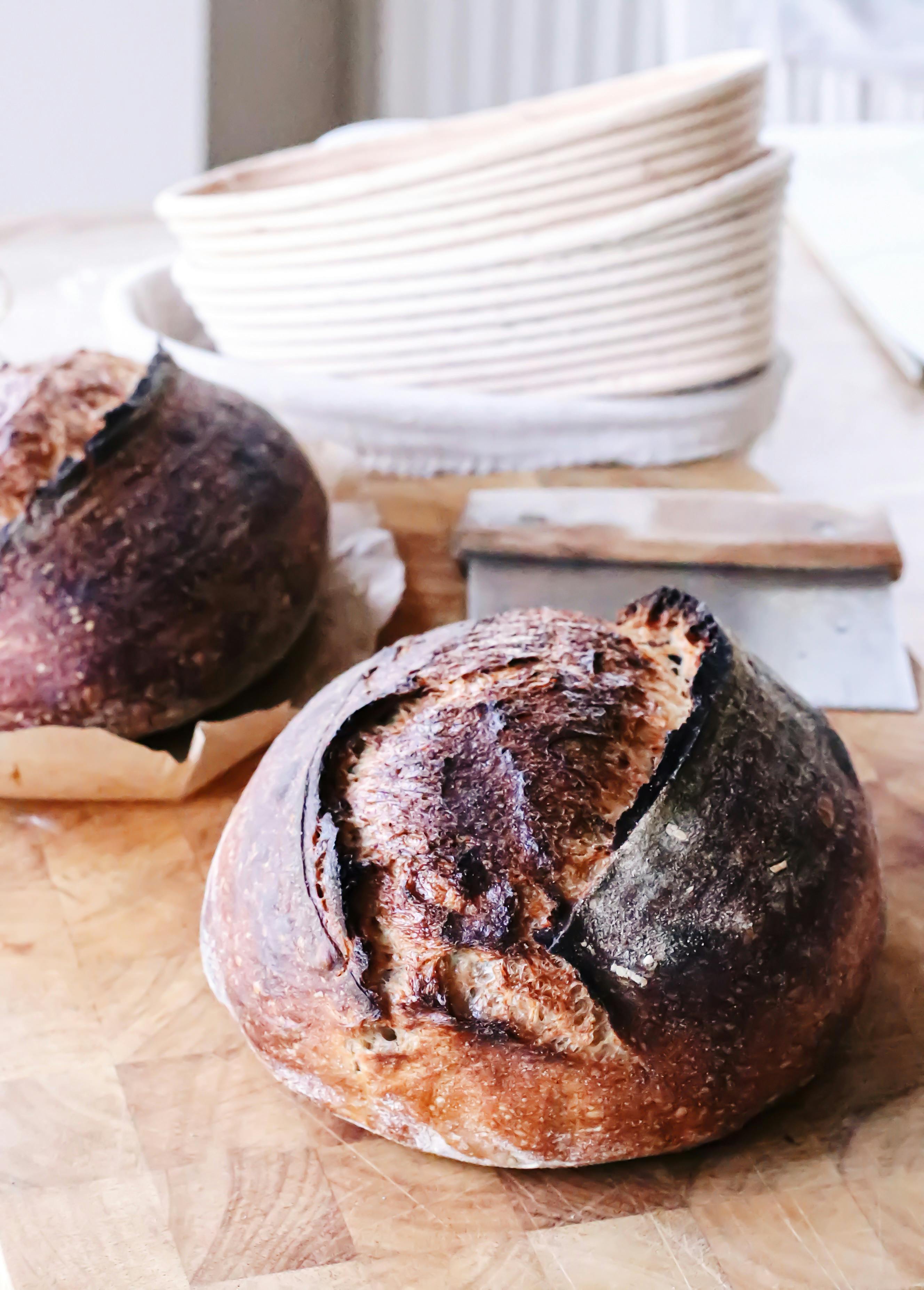 Chocolate Sourdough Loaf – Prickly Rock Livestock