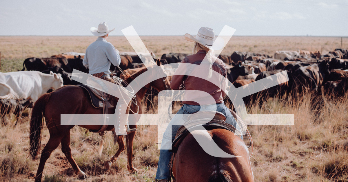 Recipes – Prickly Rock Livestock